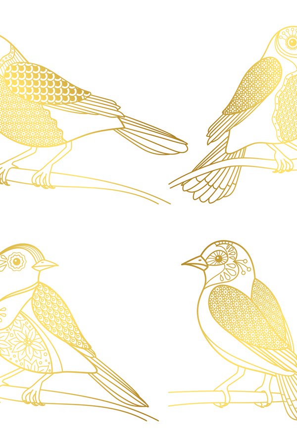 Beautiful golden birds vector isolated on white background