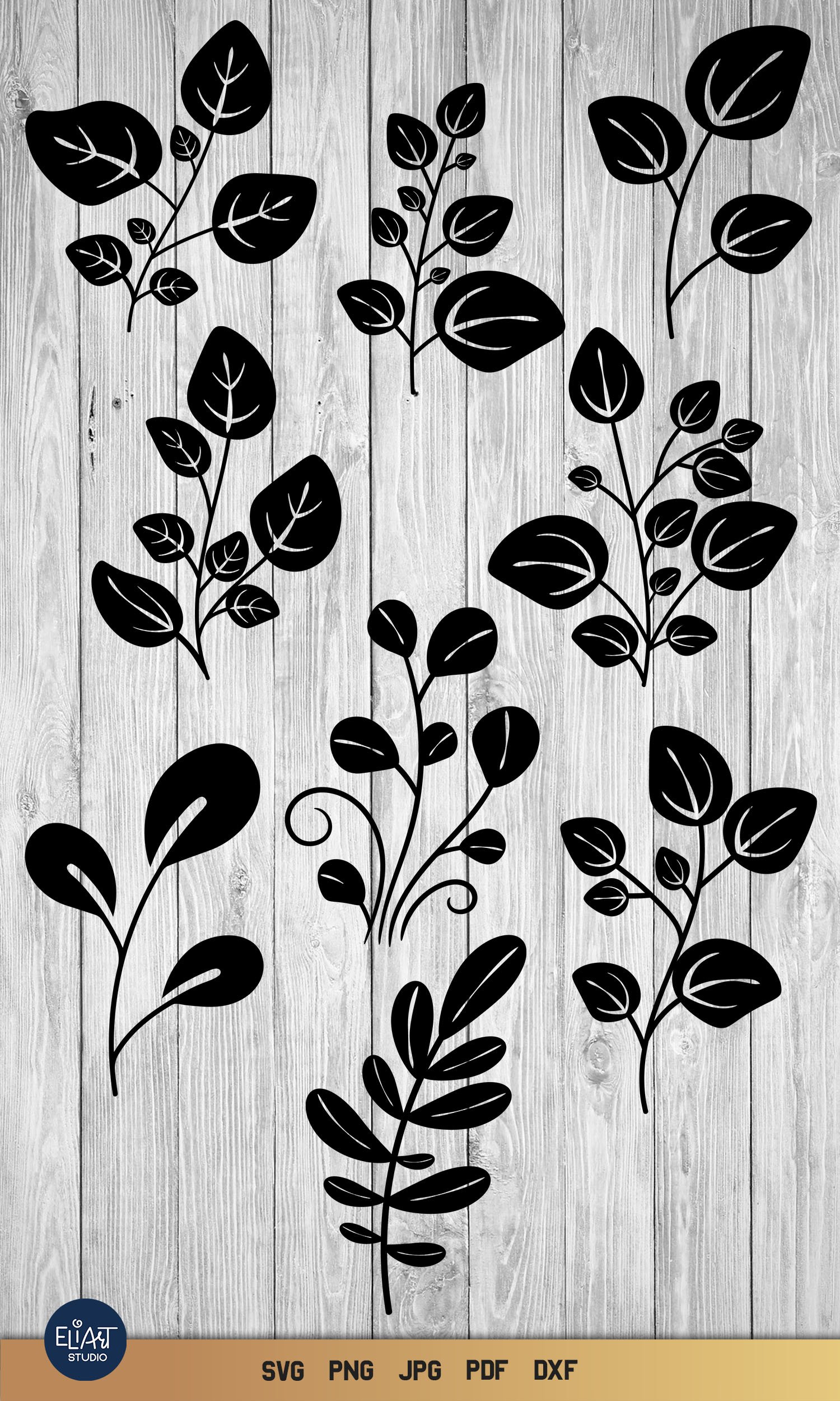 Leaves and Branches SVG | Leaves SVG Bundle