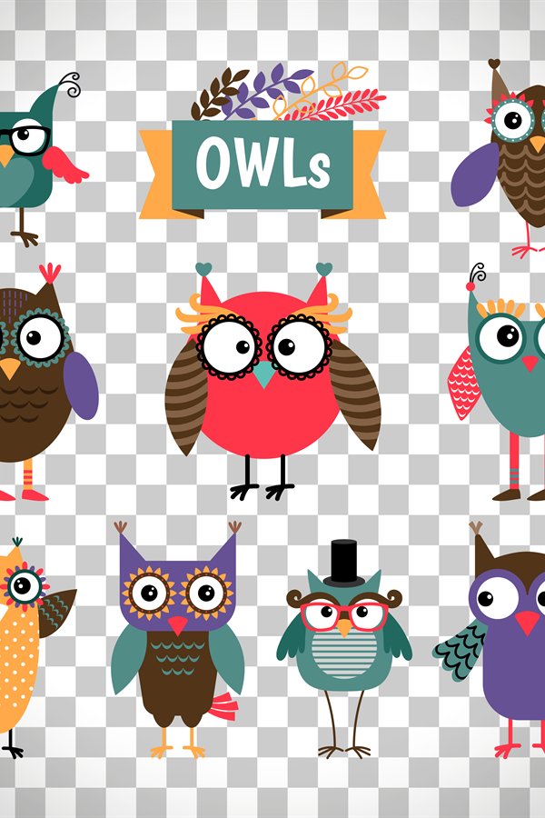 Owl icons set on transparent background
