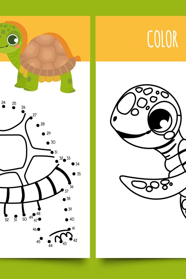 Turtle games. Dot by dot and coloring game with cute turtles