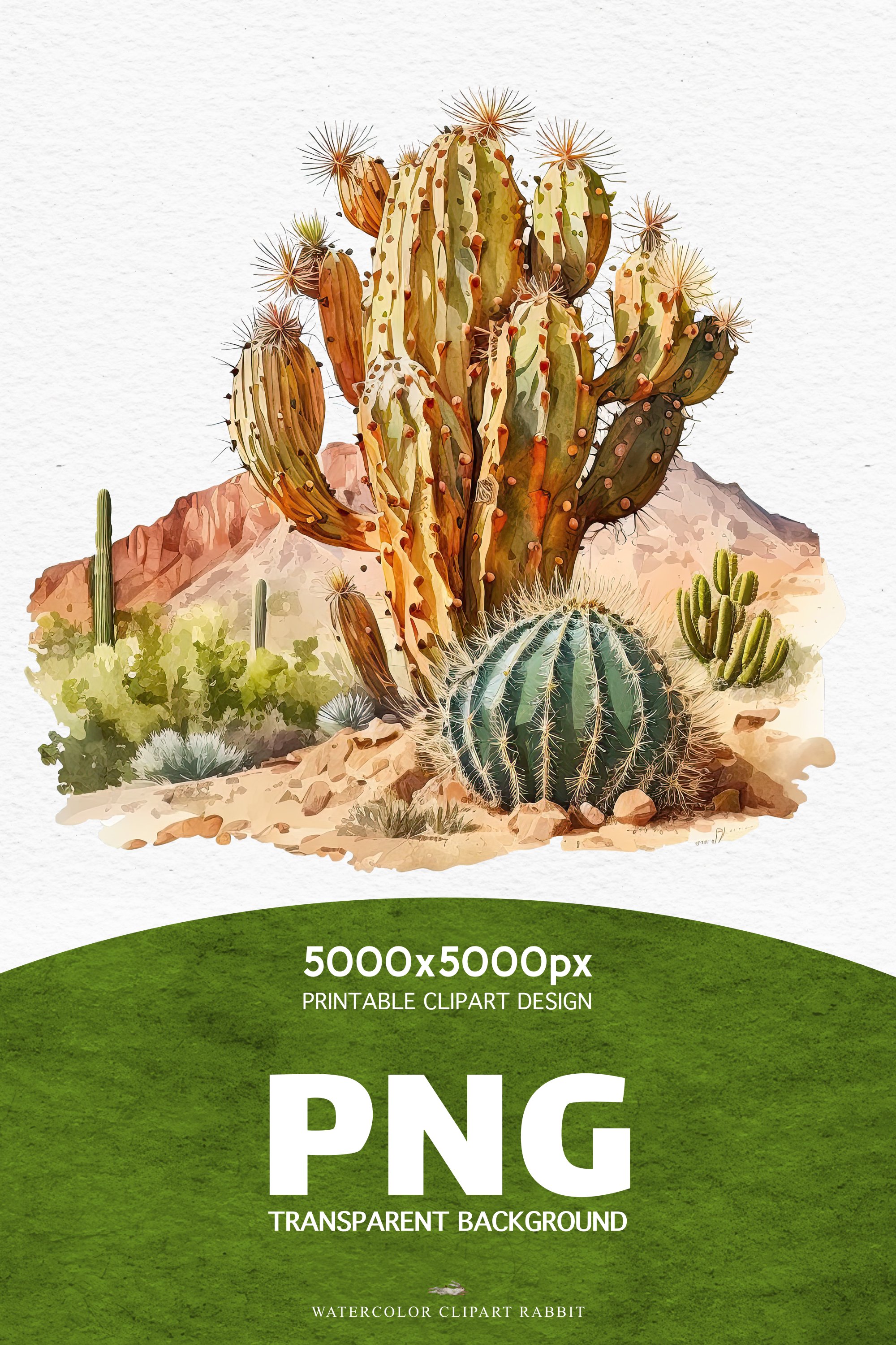 Desert Cactus Succulent Flowers Floral Clipart PNG Scrapbook