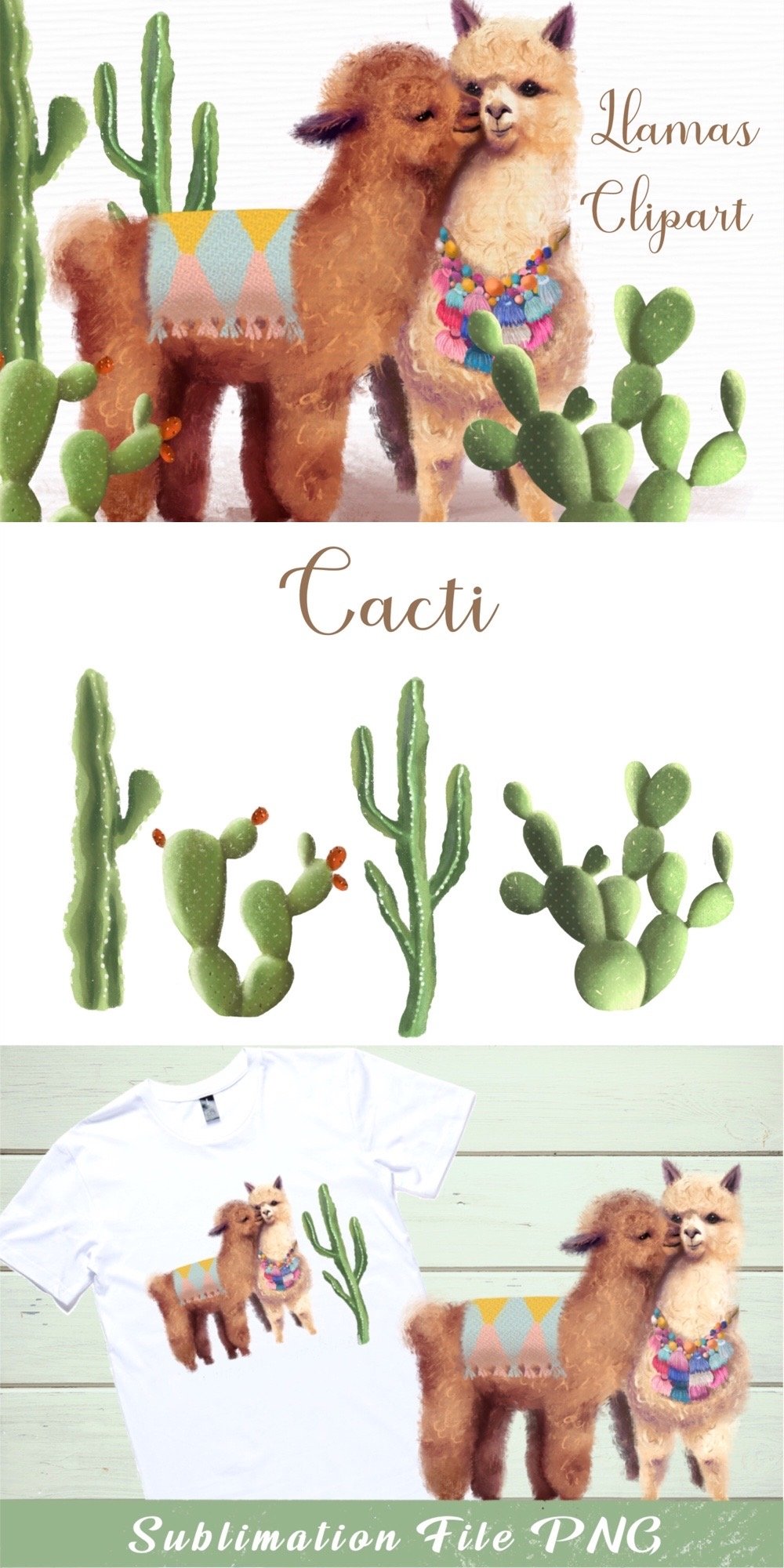 Llama Clipart, Cute Llamas, Alpaca Clipart, Cacti PNG