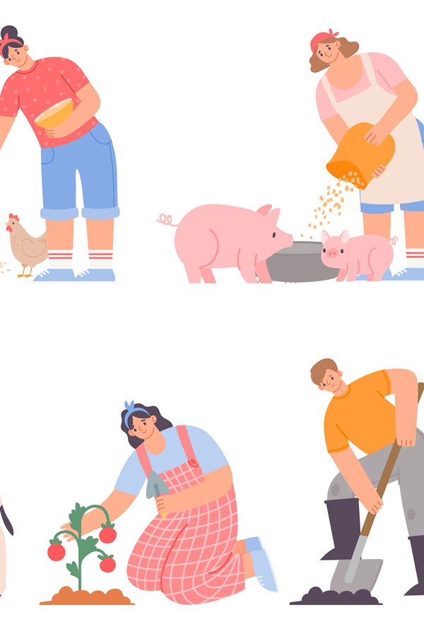 Working farmers. Agricultural worker milk cow, feed chickens