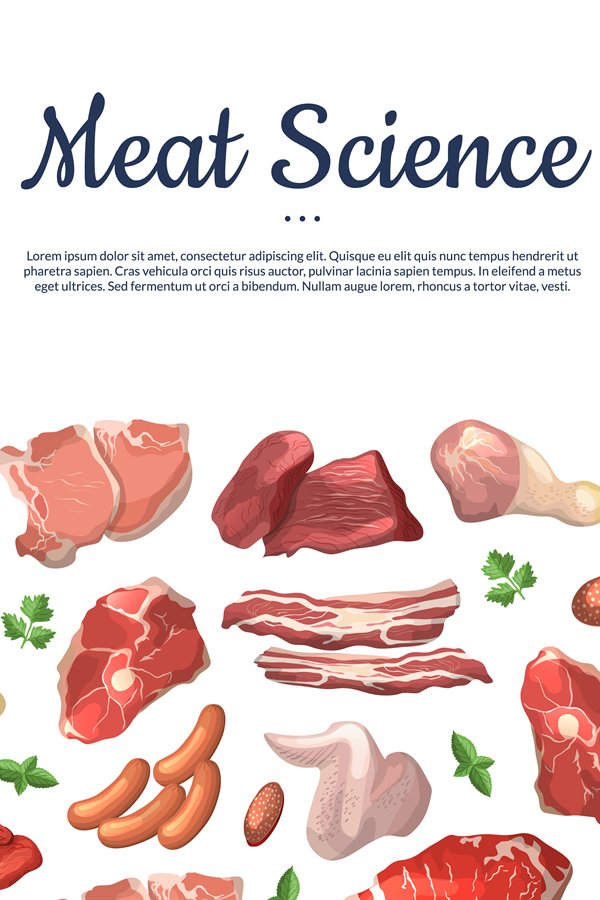 Vector cartoon meat elements background (846737)