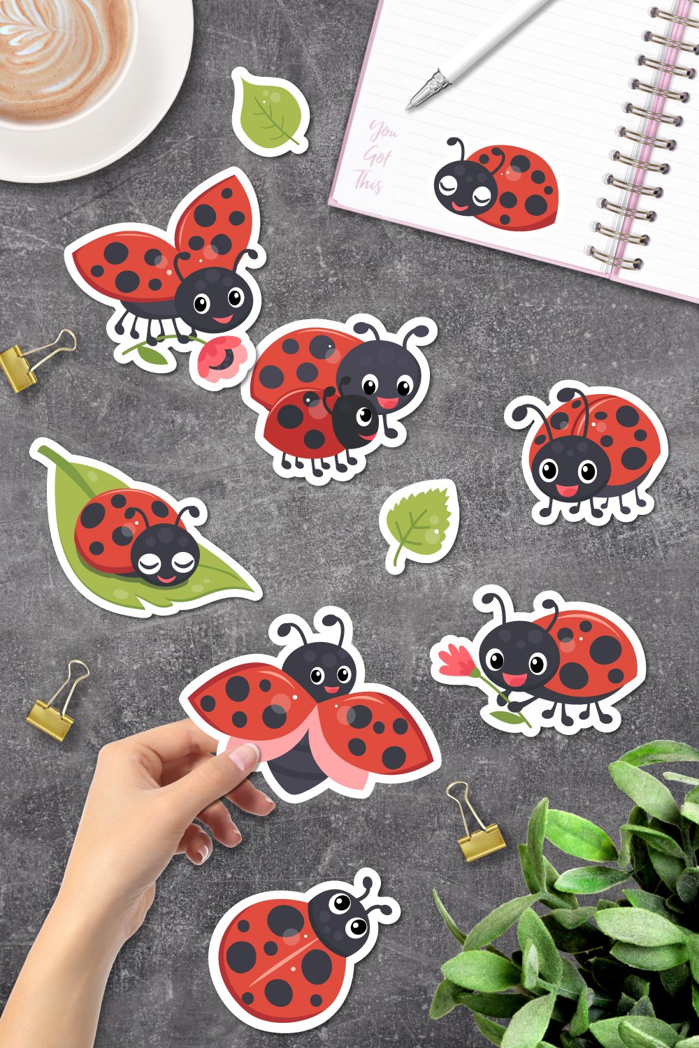 Ladybug stickers