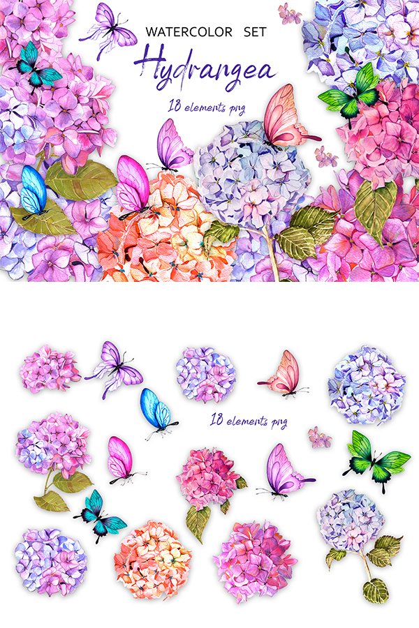 Hydrangea and butterfly garden watercolor clipart