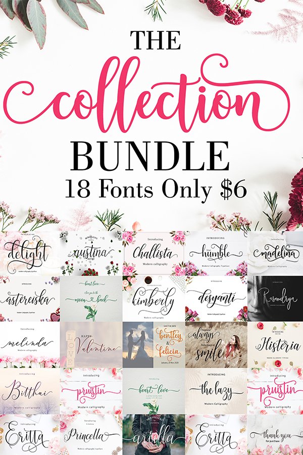 The Collection Bundle (1570064)