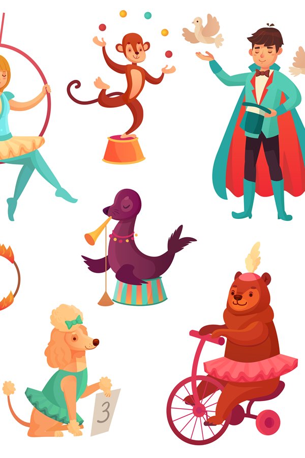 Circus animals. Animal acrobatic tricks, circus family acrob