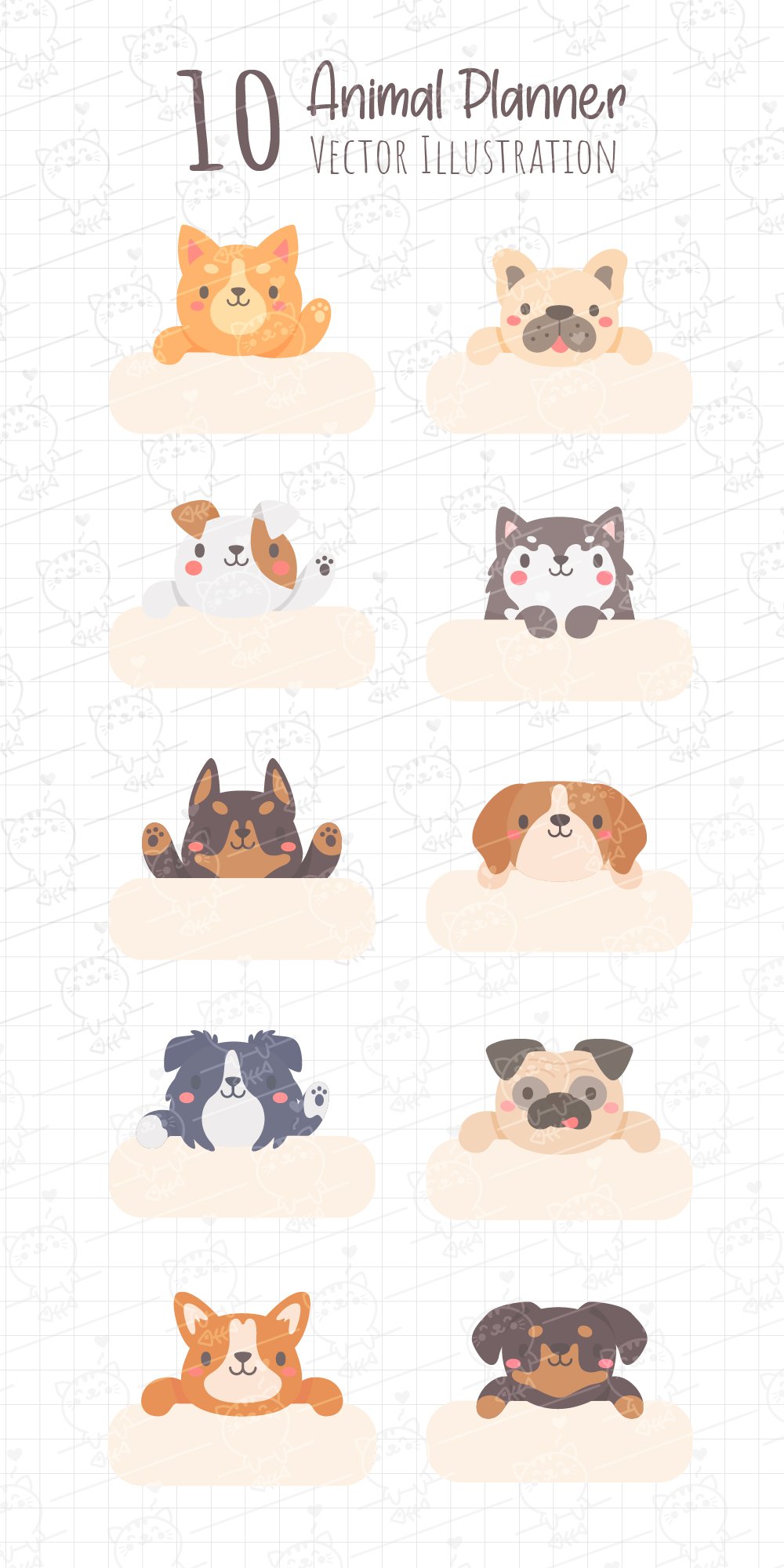 10 Animal Frame Clipart |Baby Animal PNG (2267262)