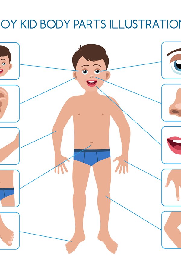 Boy kid body parts