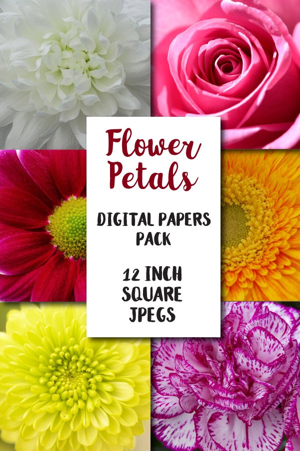 Closeup Flower Petals Digital Paper Texture Backgrounds