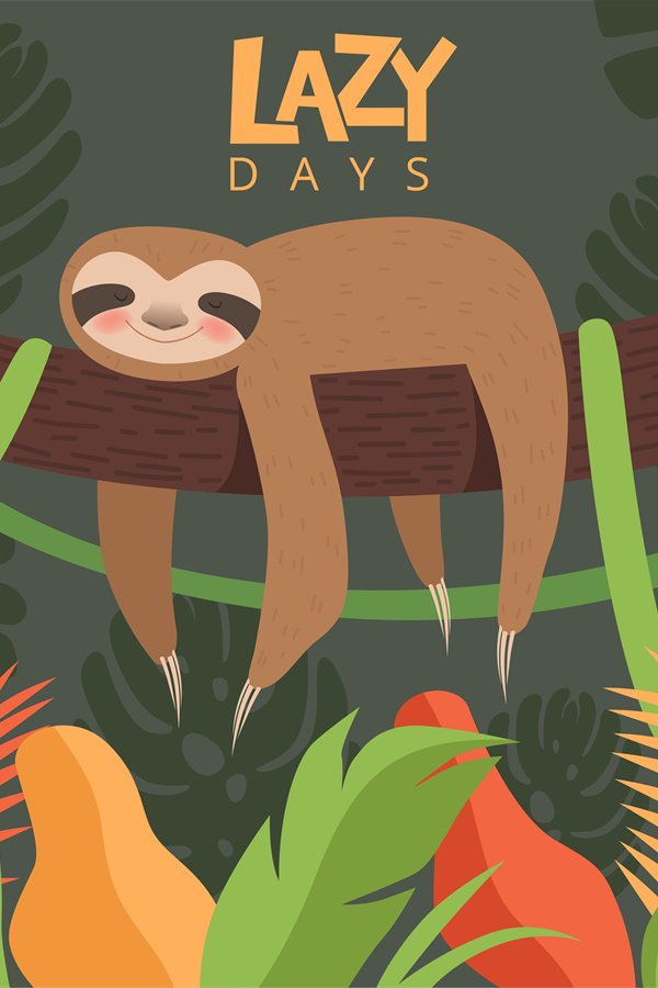 Sloth hanging branch. Poster design template with little sle