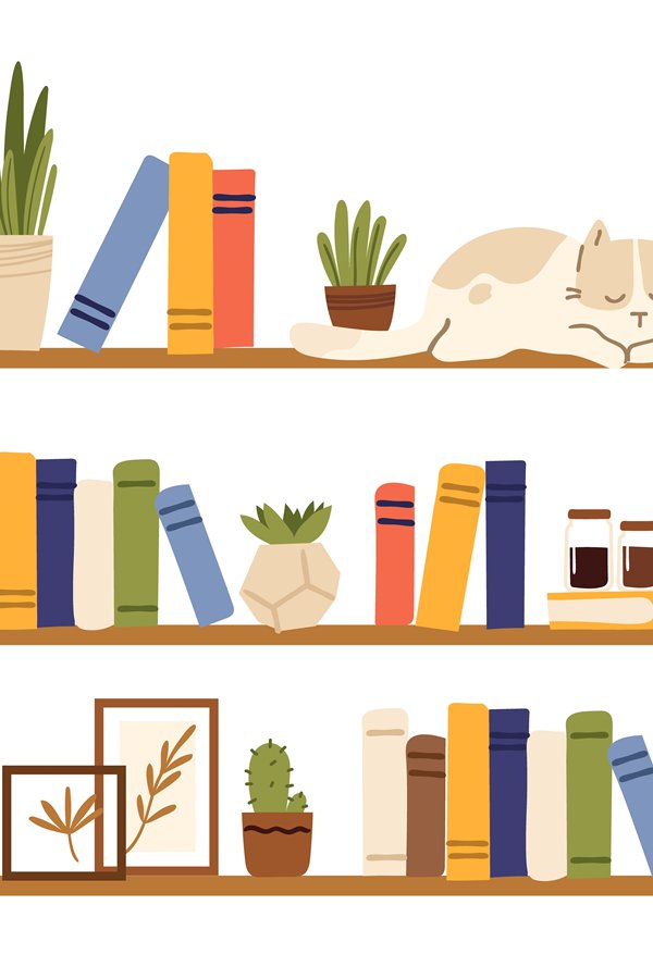Book shelves. Rack books, interior bookshelf with cat, plant
