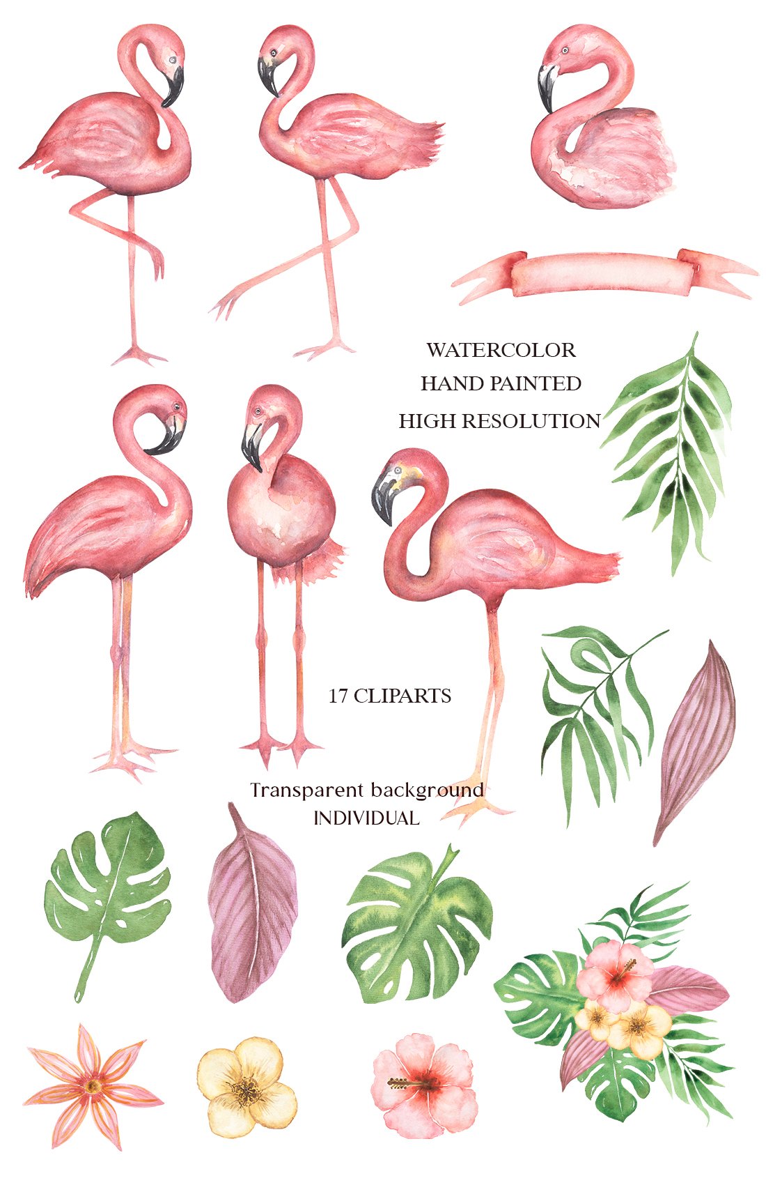 Watercolor Flamingo clipart set