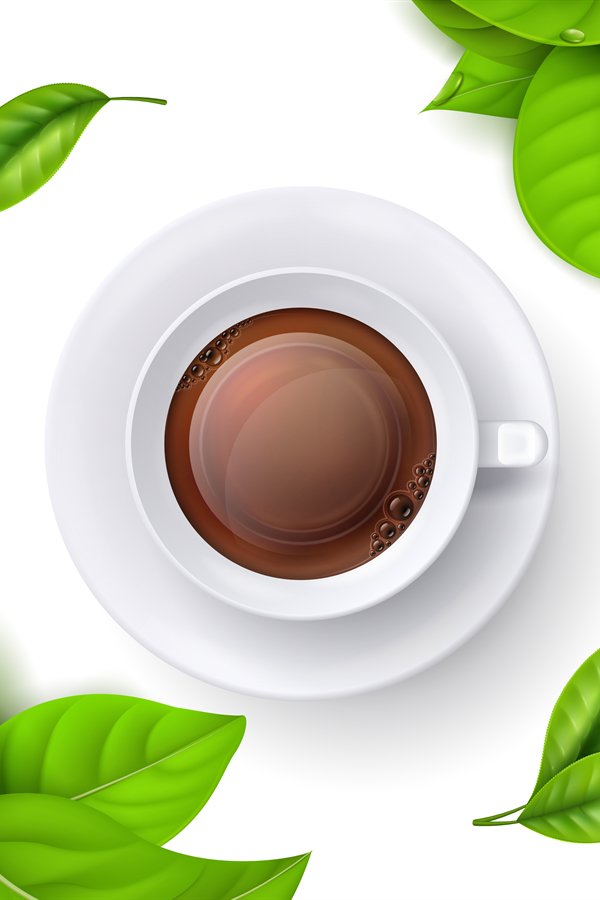 Tea time background template with realistic vector green lea