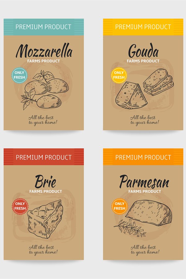 Cheese posters. Gourmet food vintage sketch, organic menu de