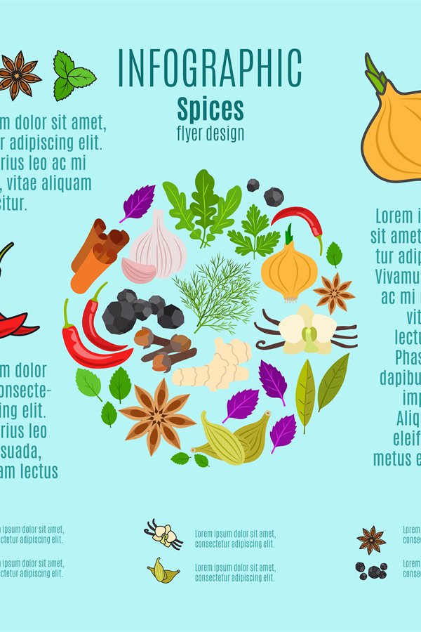 Spices infographic design with cartoon icons