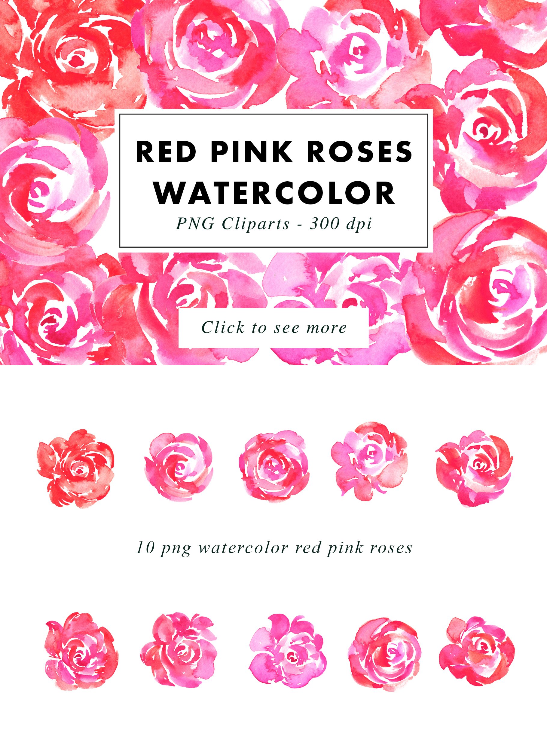 Pink Rose watercolor illustration bundle PNG 300dpi