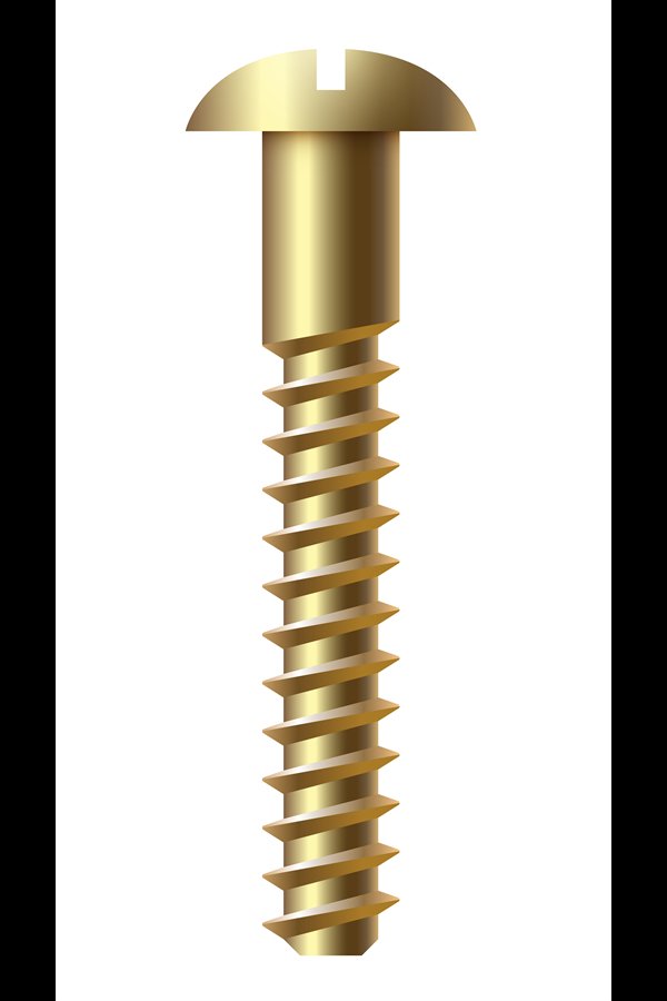Gold metal bolt. Round slotted head fastener