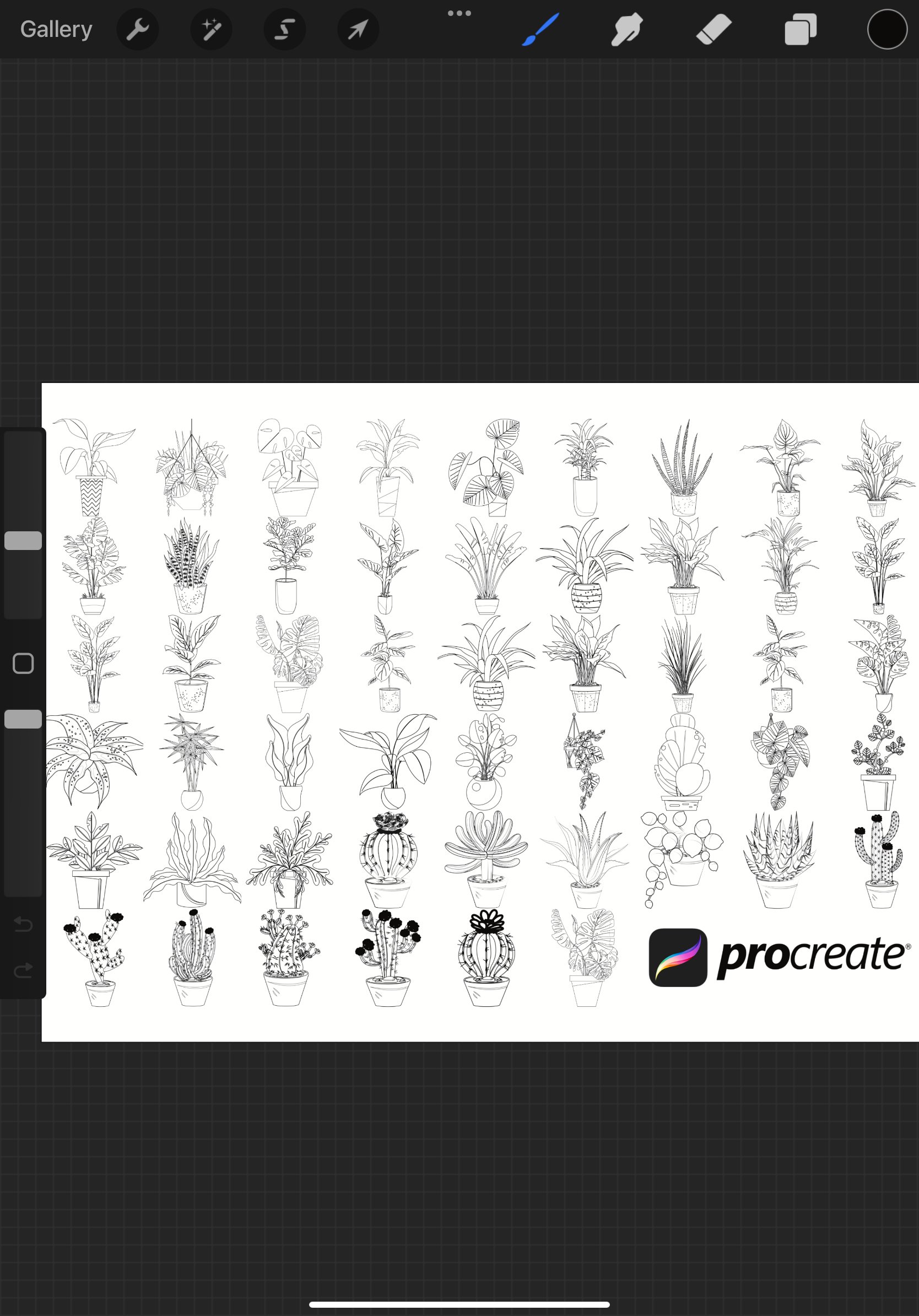 Floral Flower Potted Plant Set 1 Procreate Brush Stamps, 51