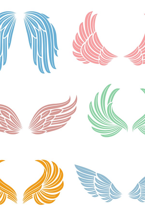 Elegant angel wings with long feather. Angelic symbols isola