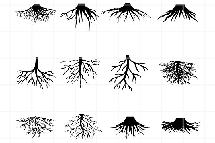 Roots SVG. Roots cut file. Roots cutting set.