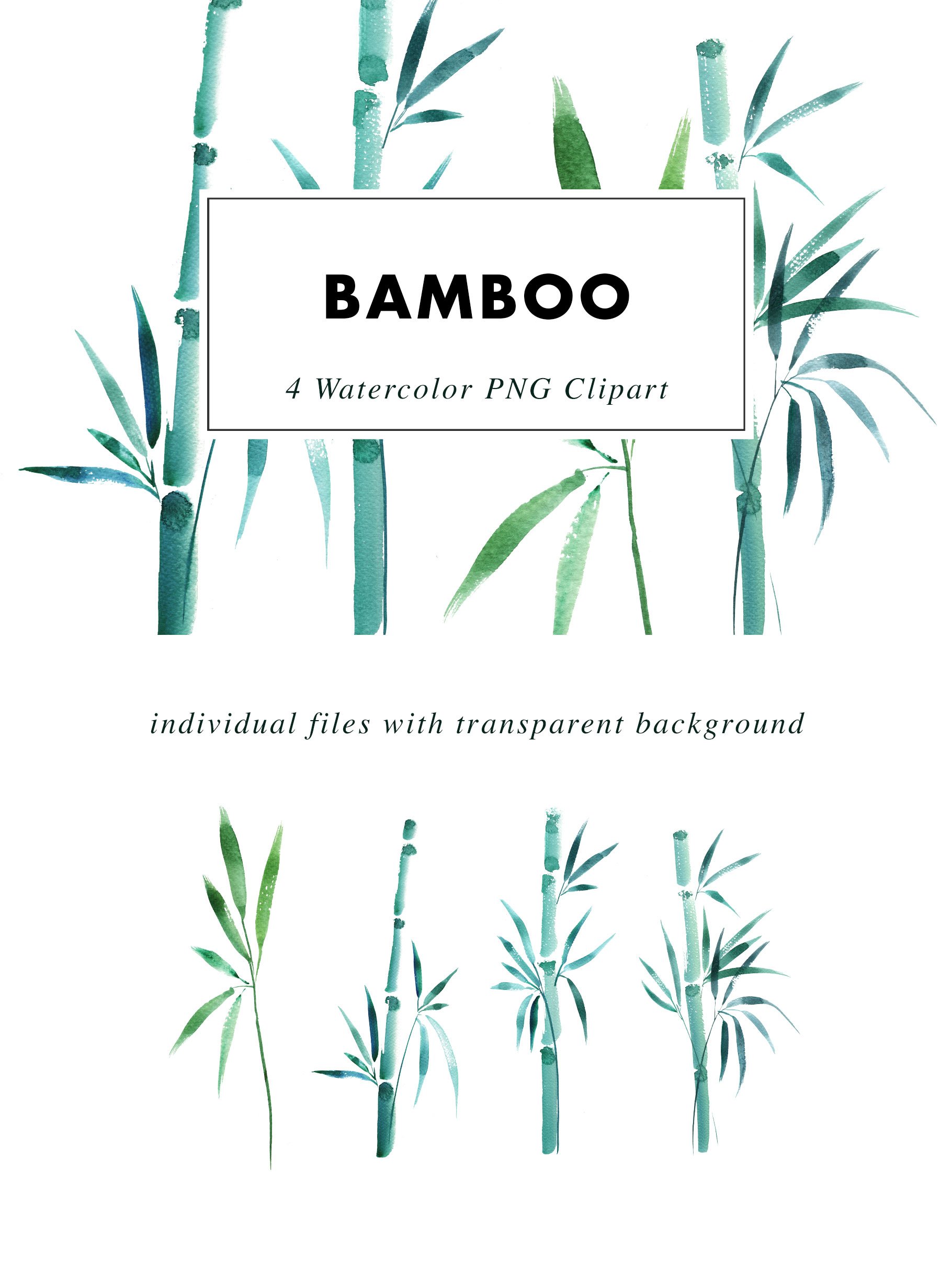 Watercolor bamboo | Clipart PNG Illustrations