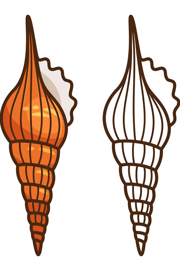 Cartoon sea shell kids coloring page