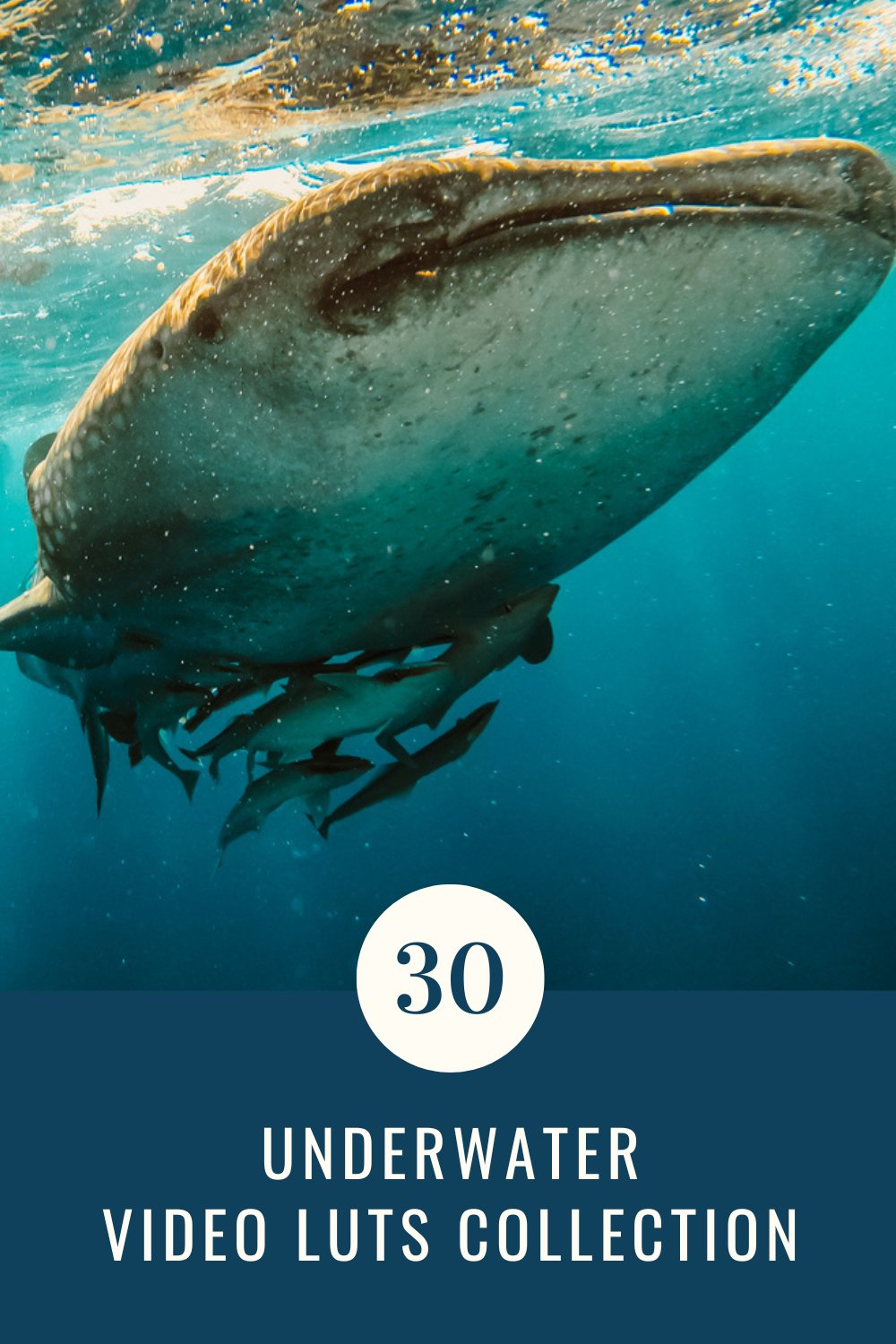 30 Underwater LUT Collection