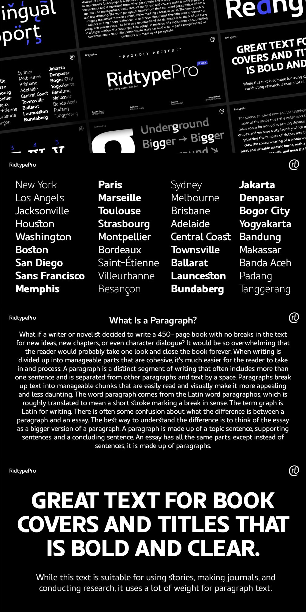 Ridtype Pro - Font Family Normal