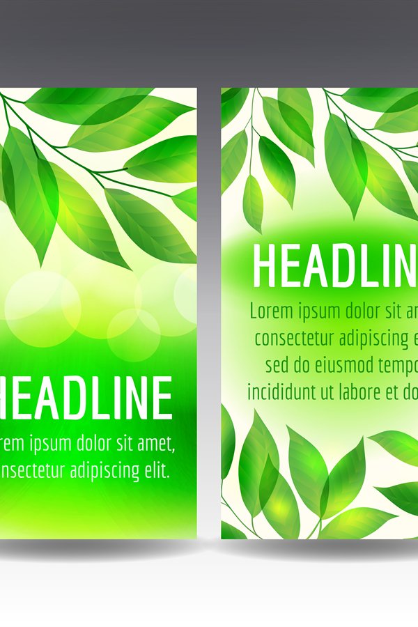 Flyer templates with green leaves