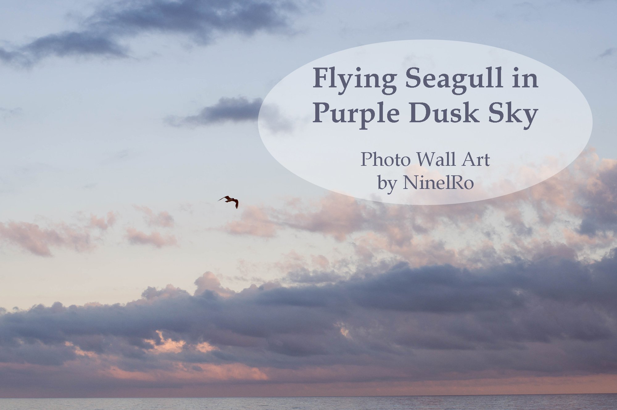 Purple Dusk Sky and Flying Seagull. Photo Wall Art