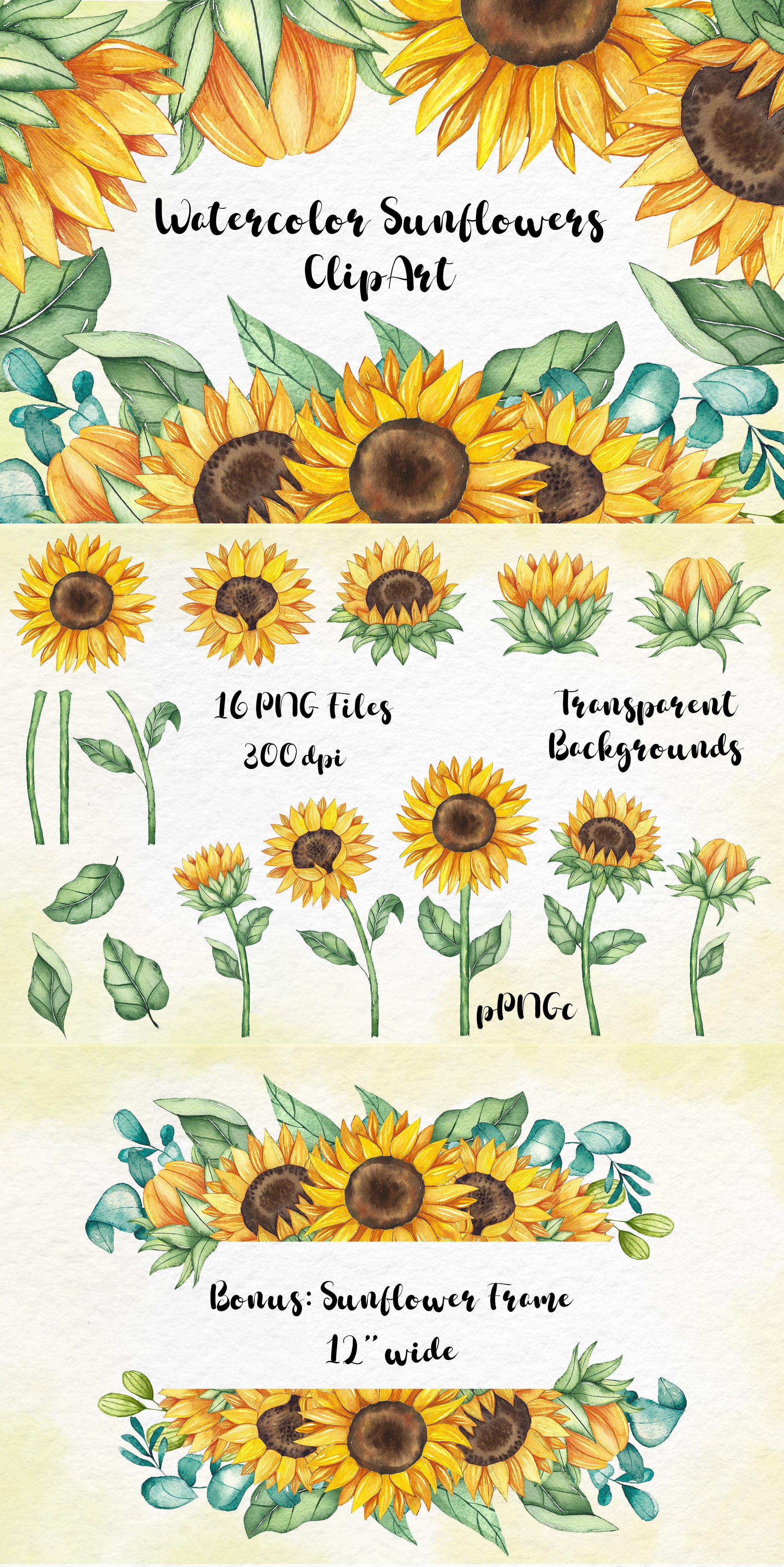 Watercolor Sunflowers clipart, Summer yellow flowers