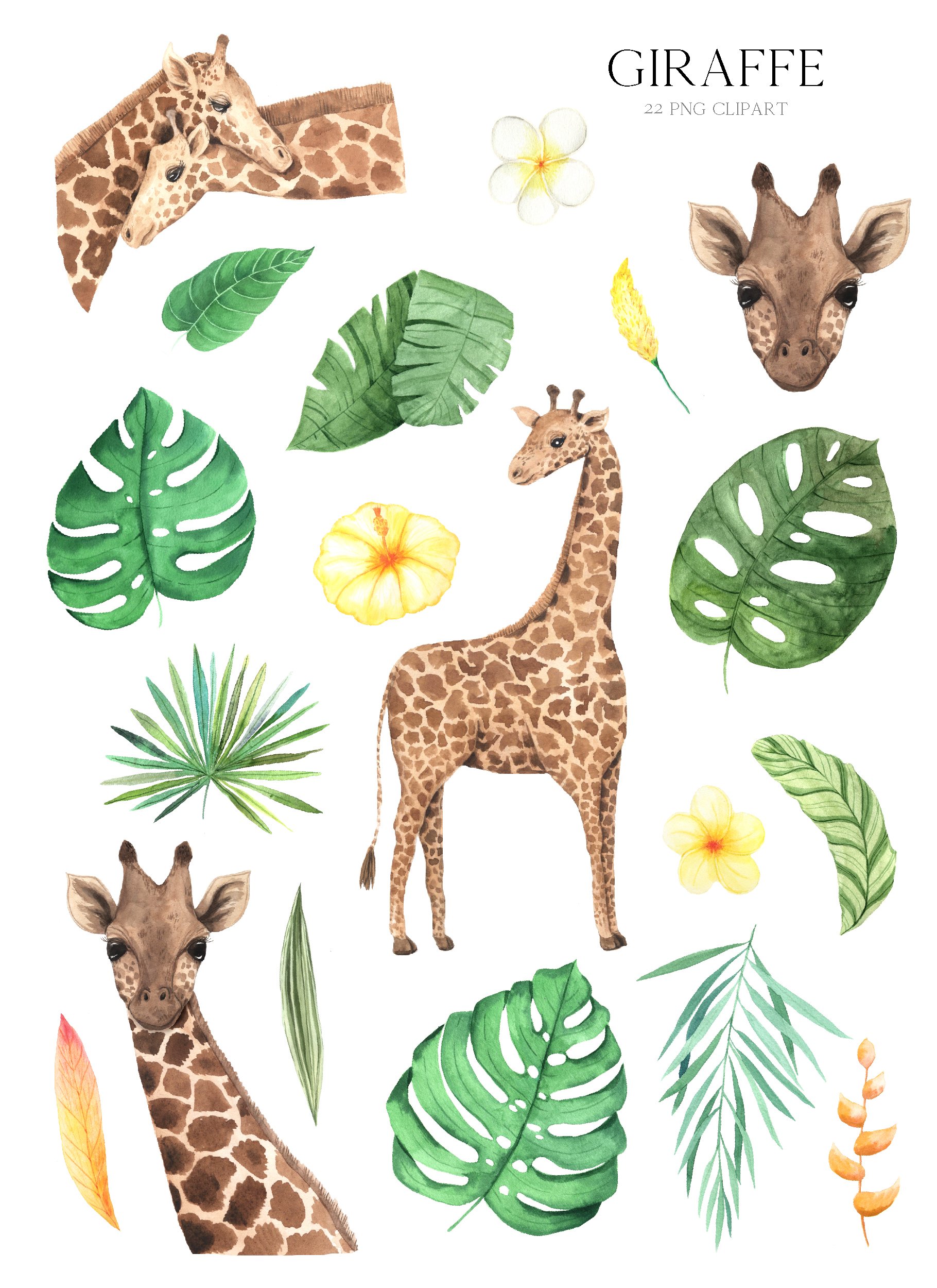 Watercolor Tropical Giraffe clipart