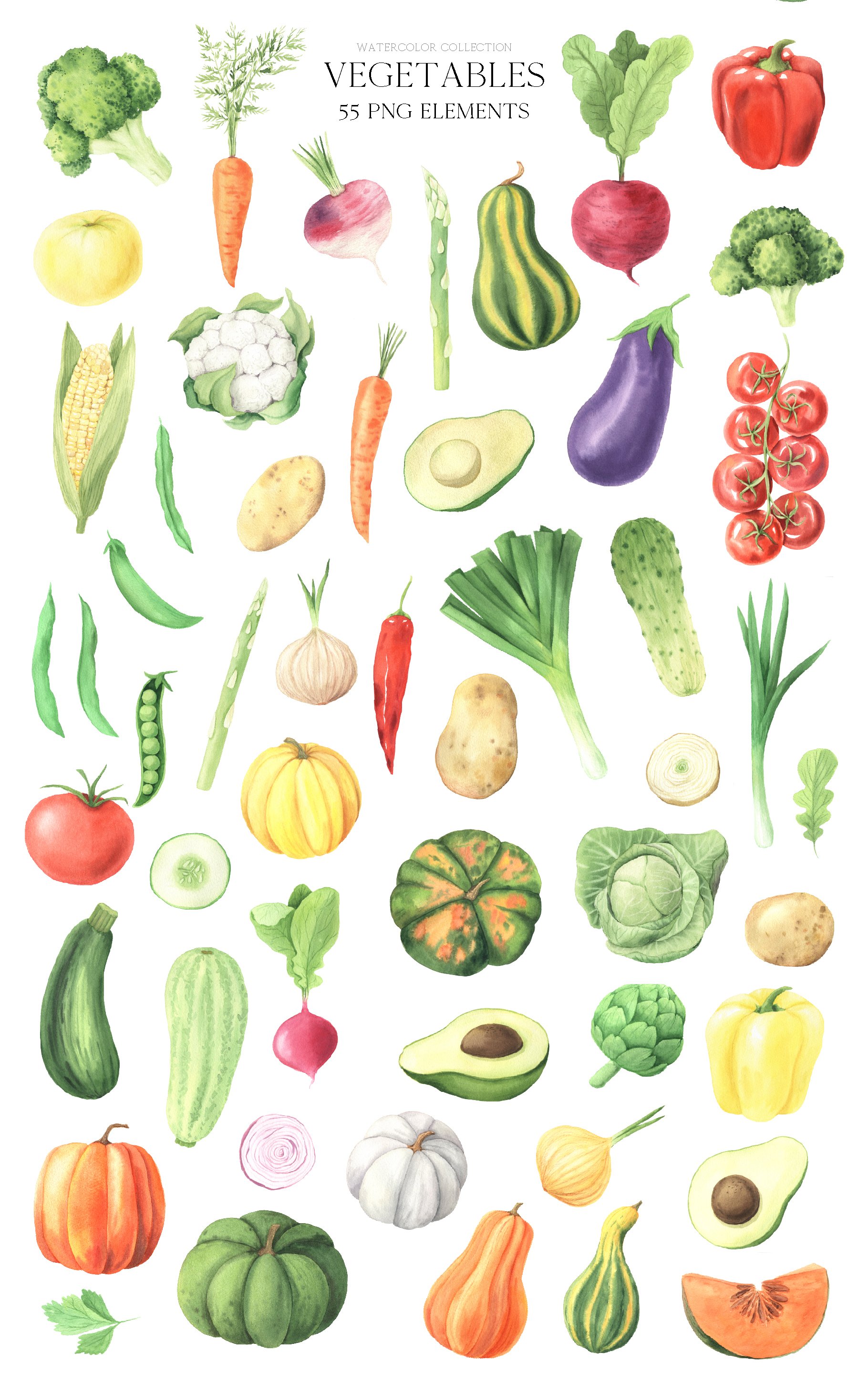 Watercolor Vegetables clipart (951482)