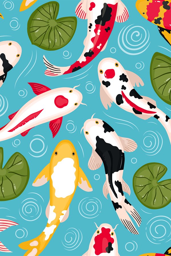 Koi fish pattern. Oriental koi colorful floating carps backd