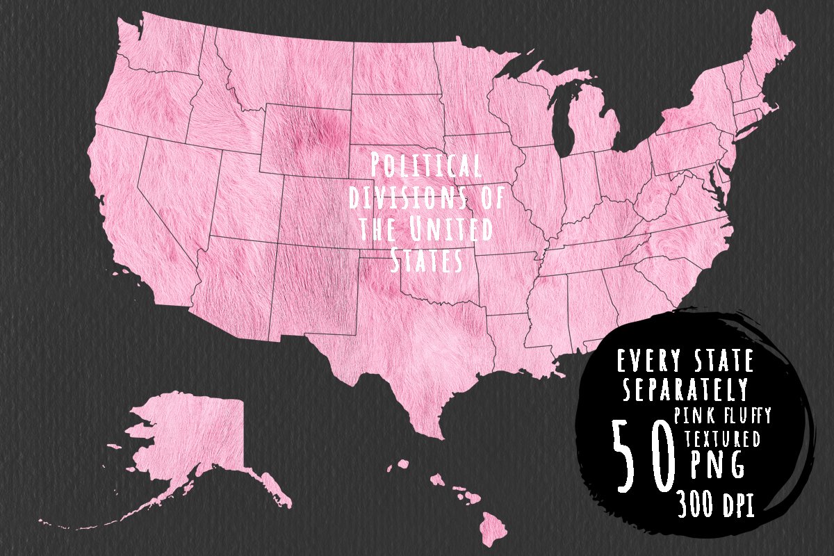 Political divisions of the US. Pink fluffy textured states