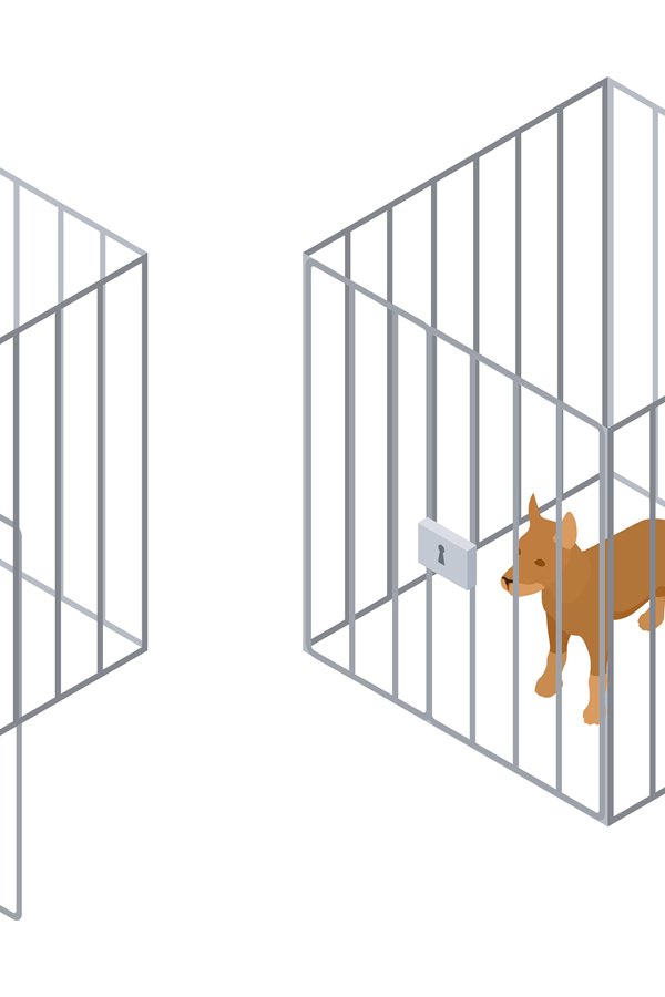 Animals in cages. Isometric dog bird inside and outside cage