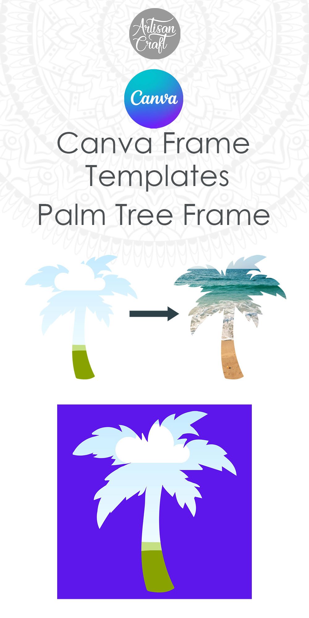 Canva Frame, Palm Tree Frame, Canva template