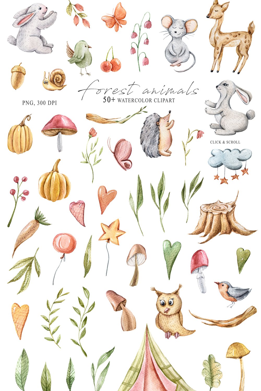 Watercolor cute forest animals- 50 png illustrations