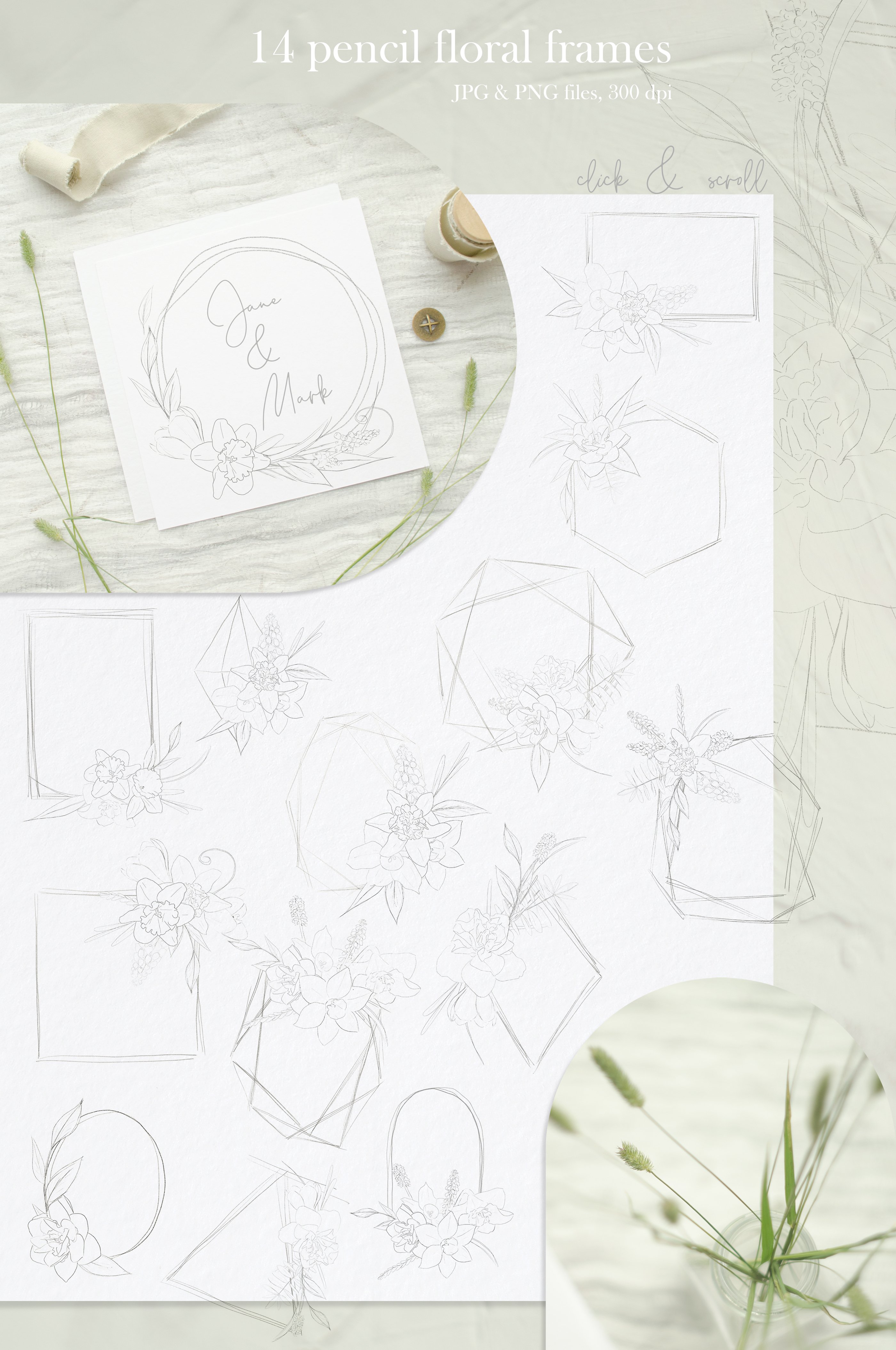 Pencil Sketches of Spring Flowers