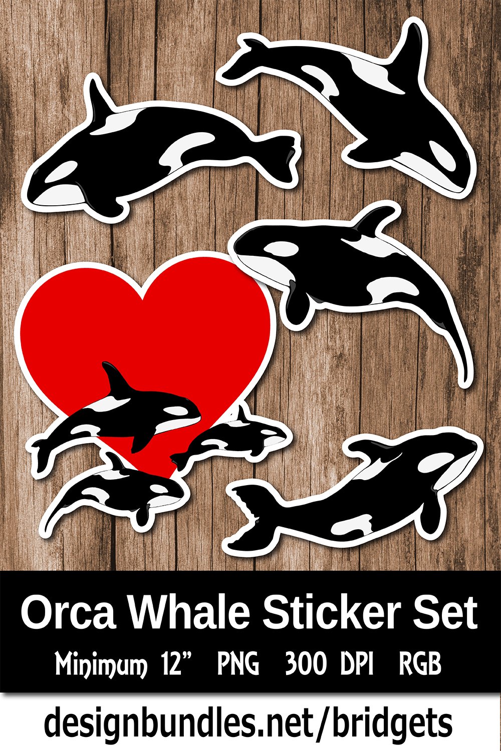 Orca Whale Sticker Set | Sea Life Scrapbook Stickers