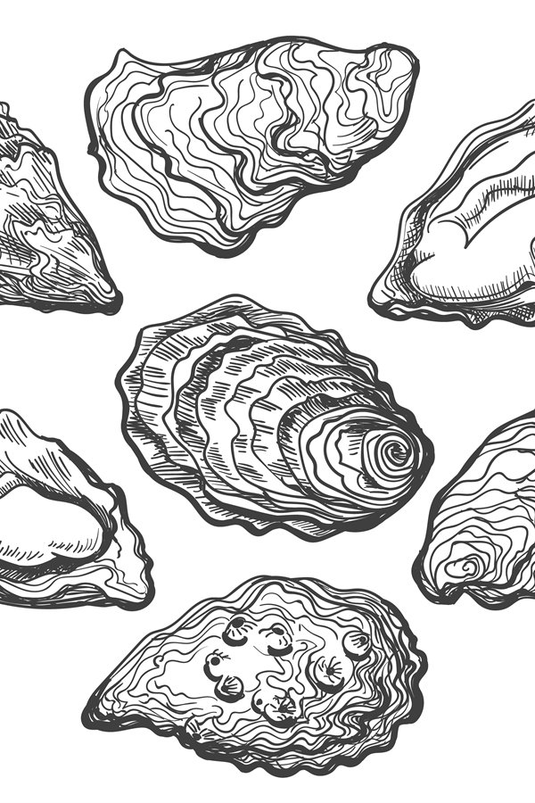 Oyster shell set