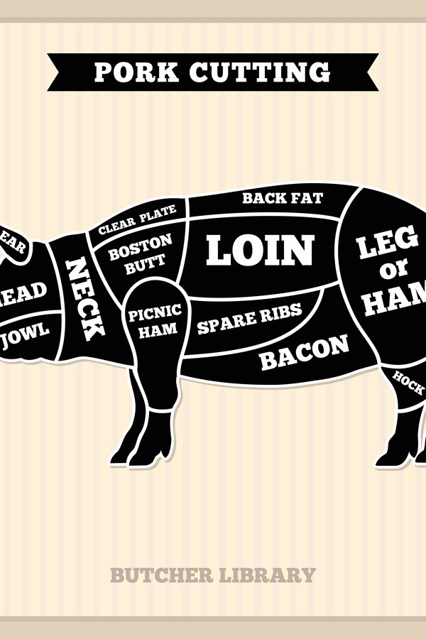 Pork, pig meat cutting vector vintage chart, cuts guide diag