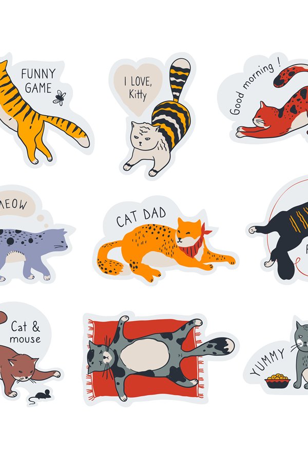 Cat stickers. Cute pet labels with motivation quotes, divers