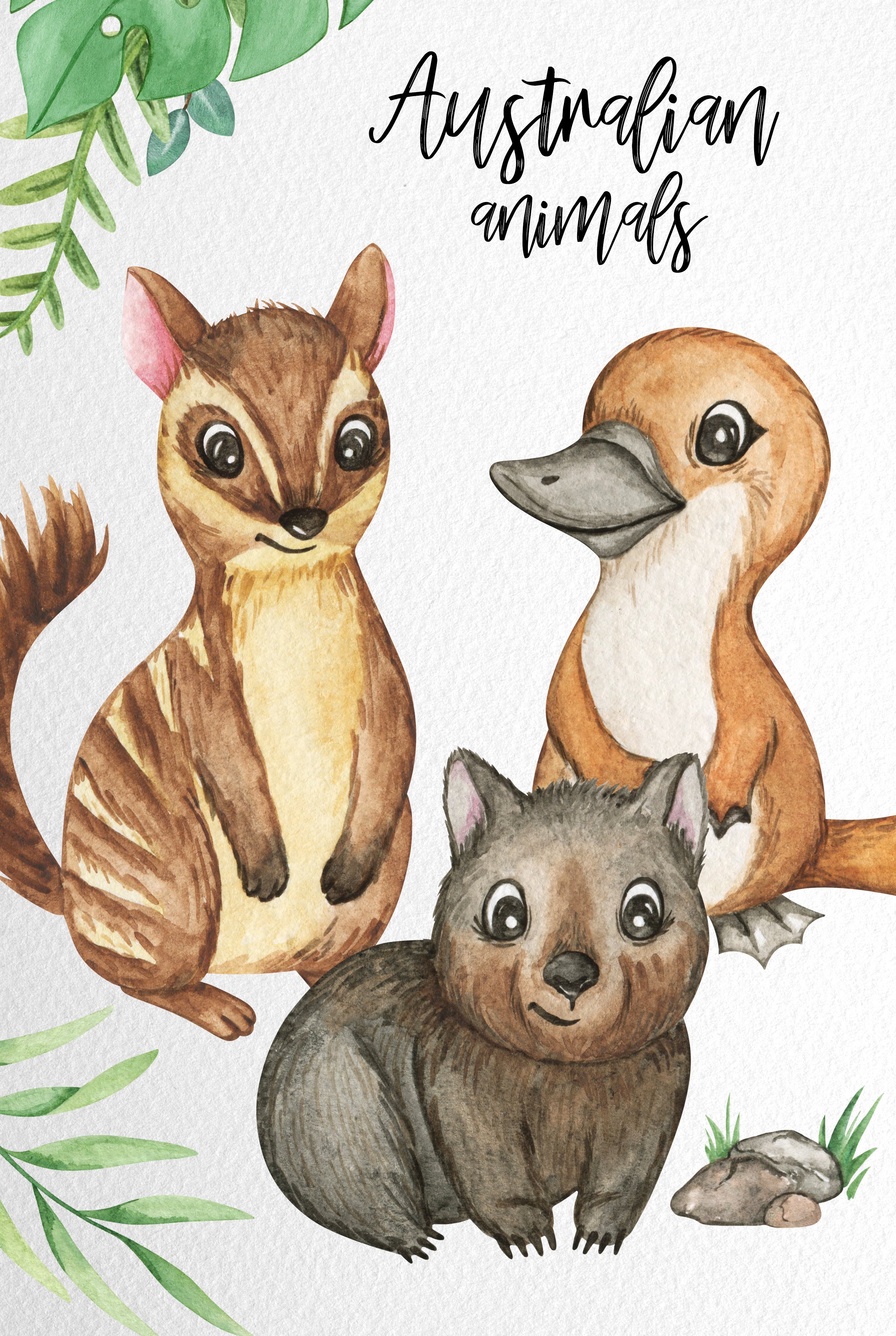 Australia clipart with tropical animals and leaves