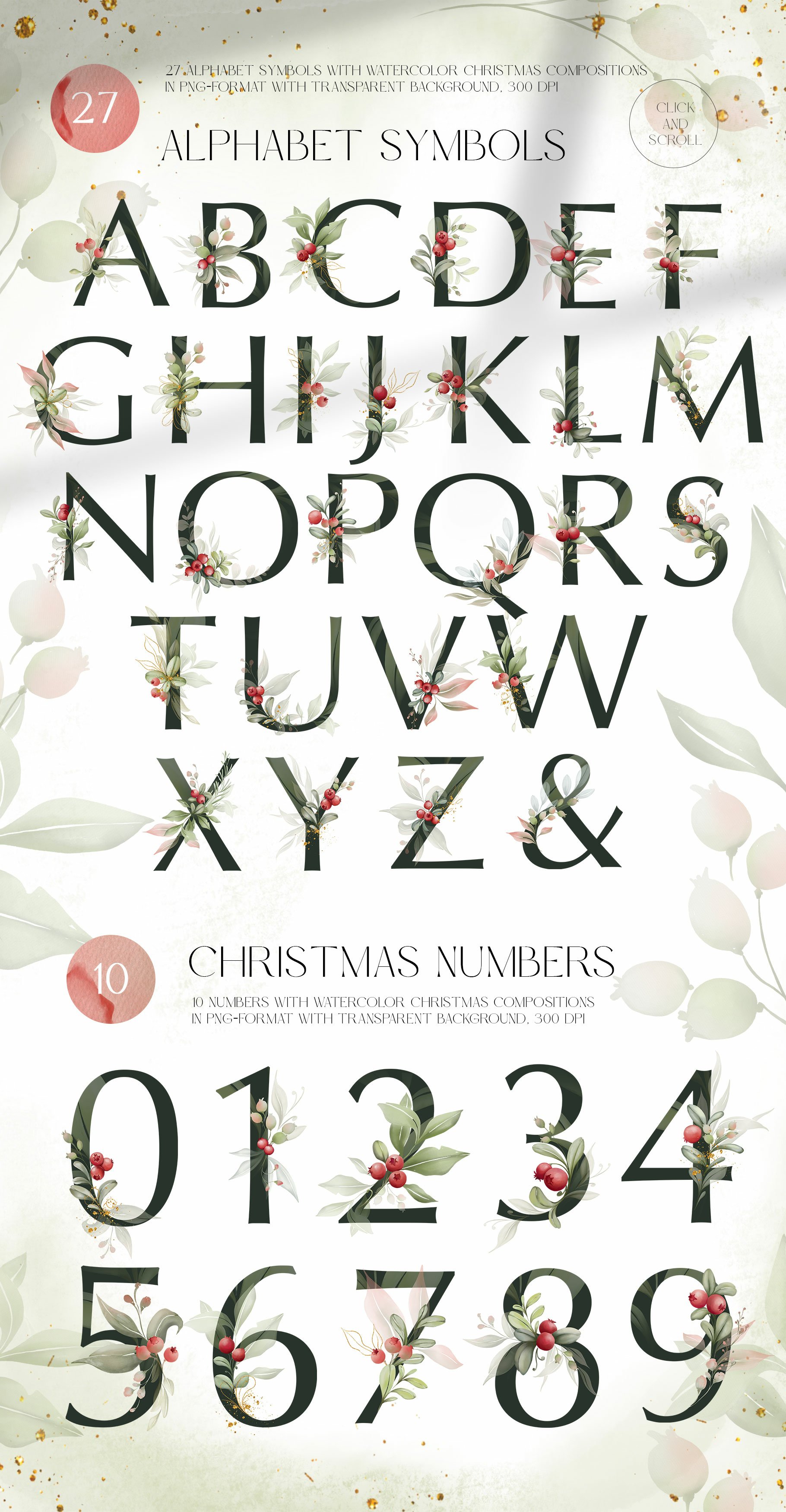 Cranberry Christmas floral alphabet - 27 PNG letters