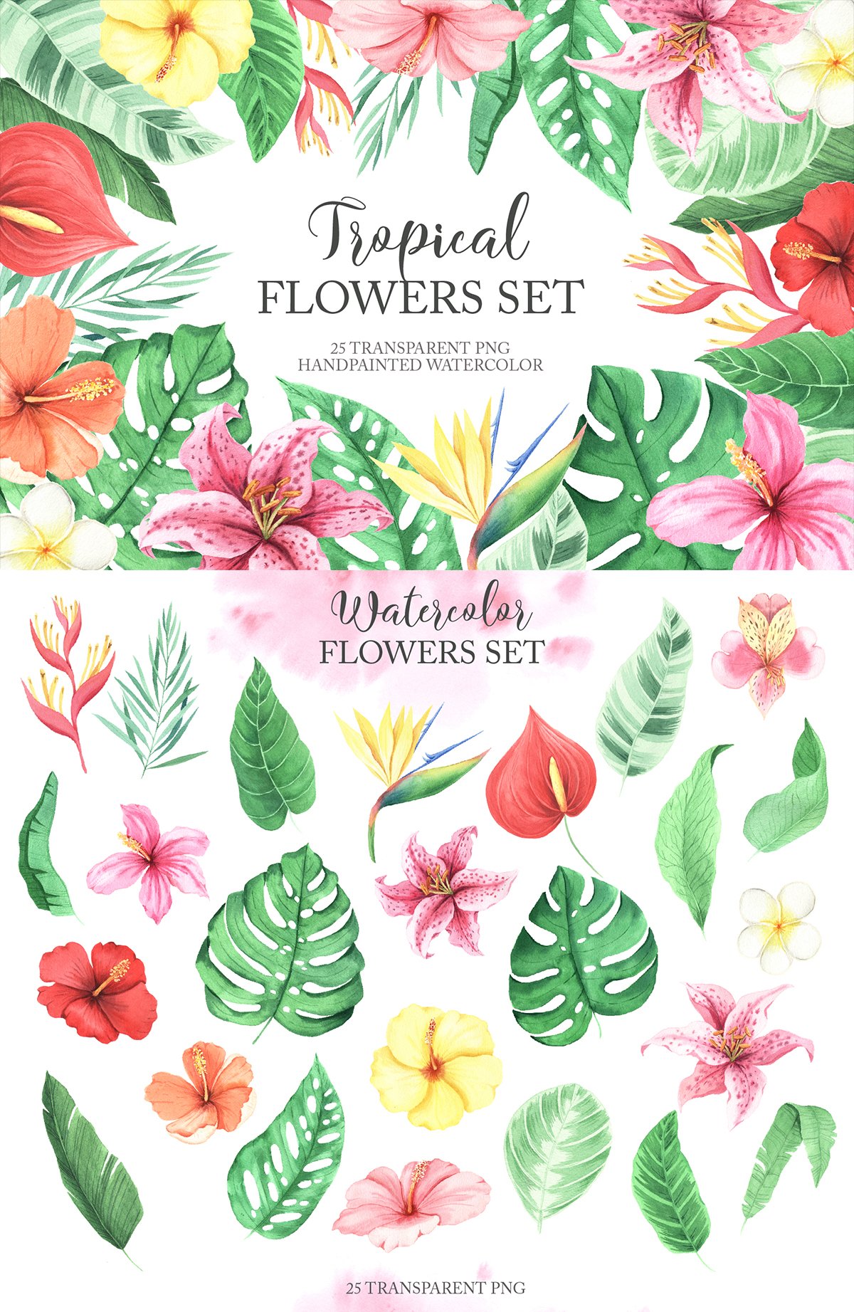 Watercolor Tropical Flowers PNG Clipart