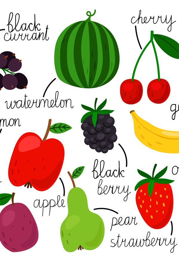 Hand drawn fruits collection