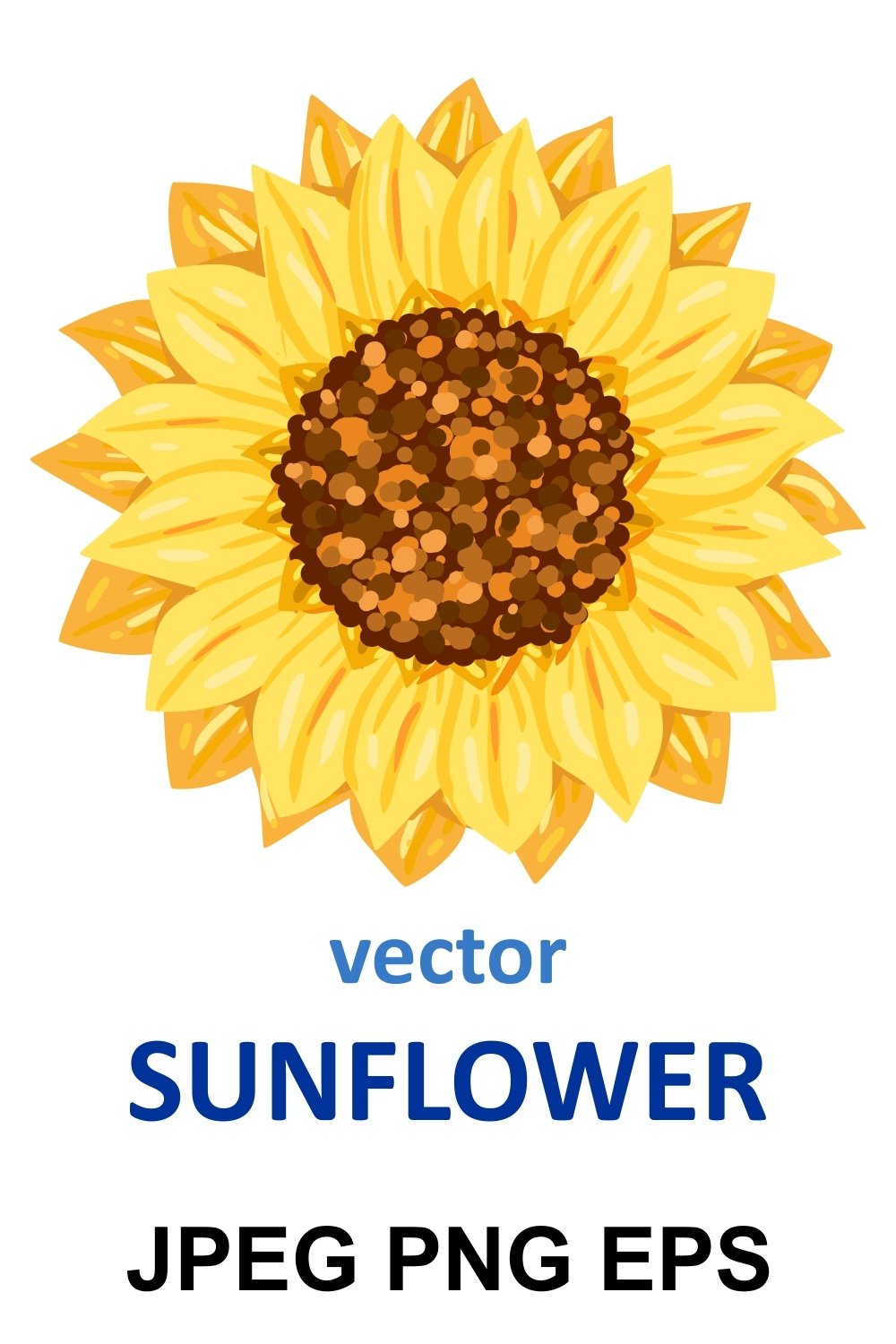 Sunflower flower vector colorful illustration